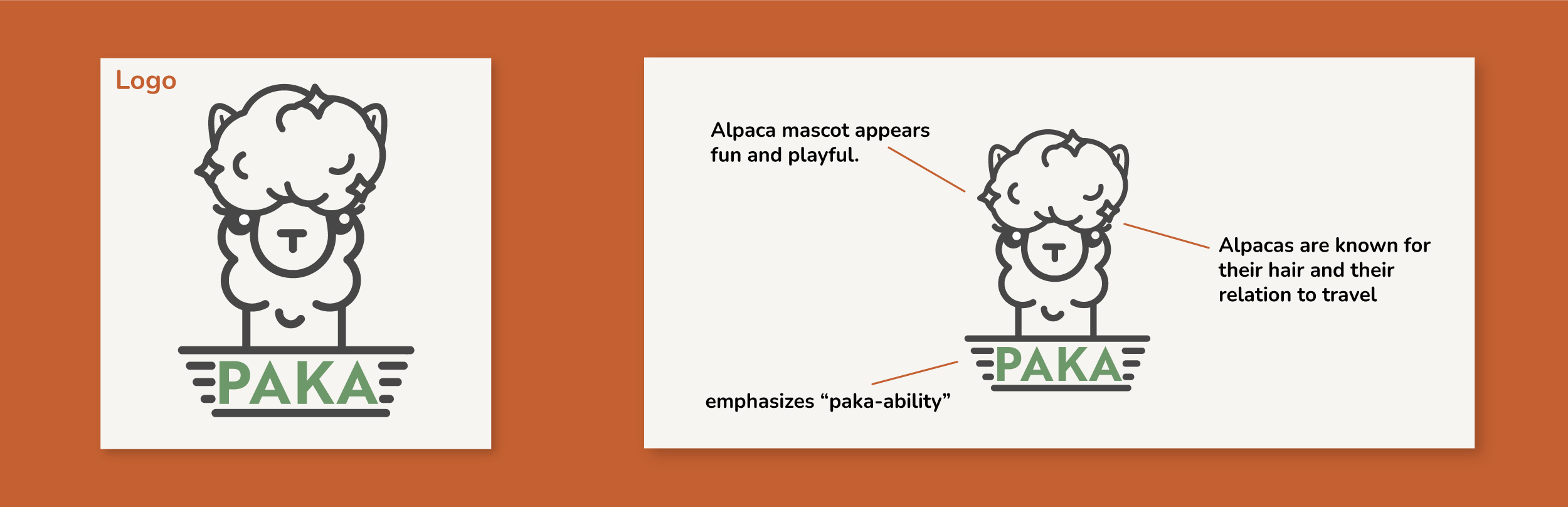 Paka Waterless Shampoo – Molly Van Dyke